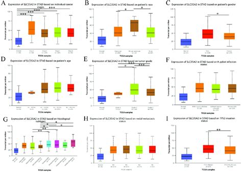 Effects Of Clinicopathological Factors On Slac35a2 Expression A I