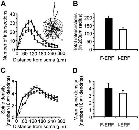 Plot Of Sholl Analyses Of Dendrite Bifurcations And Spine Density Of Download Scientific