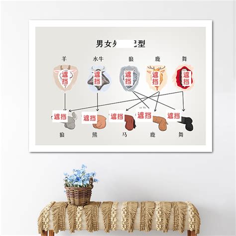 多款生殖九型配对挂画 妇科医院月子会所产康装饰画私密艺术墙画虎窝淘