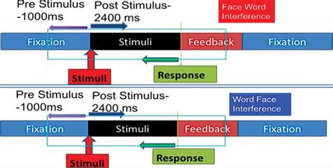Eeg Cortical Sources Of Face And Word As Distractors During Emotional Interference Indian