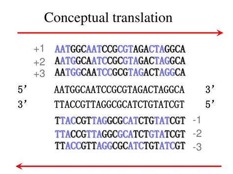 ppt part i sequence analysis dna bioinformatics software