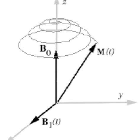 2 Illustration Of Tipping Of The Longitudinal Magnetization Vector M