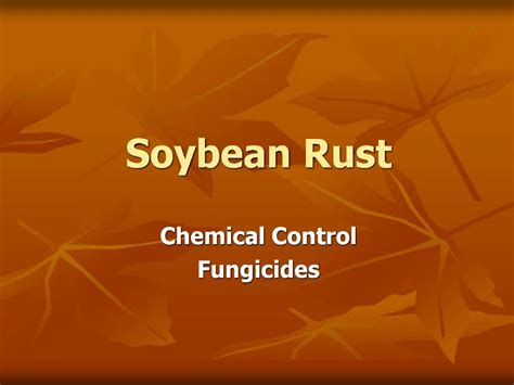 Ppt Soybean Rust Powerpoint Presentation Free Download Id 1124990