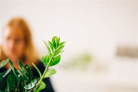 Grasshopper Communications On Linkedin Grasshopper At The Senedd Net Zero Roundtable Recap 🌱