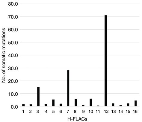 Tumor Mutation Burden Tmb Of The Mutational Landscape Of High Grade