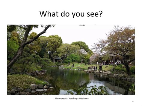 scene classification using convolutional neural networks jayani