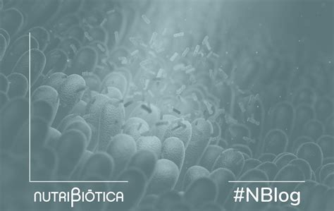 ¿qué Es La Microbiota Nutribiótica