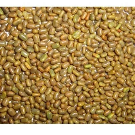 Natural Fodder Seeds Packaging Type Packet 25 Kg At ₹ 700kg In Kandukur