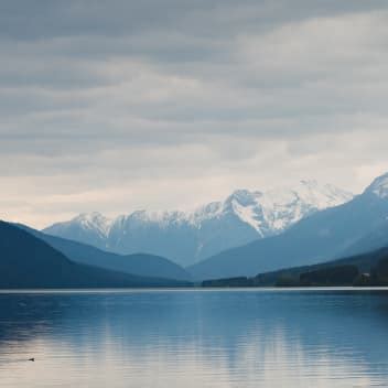 Tailwind CSS 只需书写 HTML 代码无需书写 CSS即可快速构建美观的网站 TailwindCSS中文文档