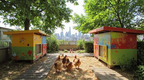 13 Walk In Chicken Coop Ideas 6bc Botanical Garden
