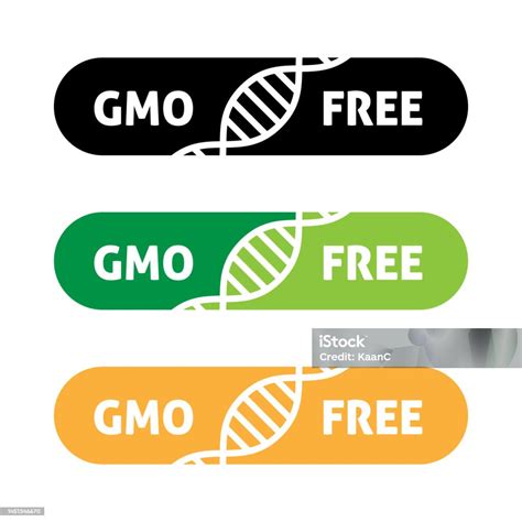 Gmo 무료 아이콘 로고입니다 비 Gmo 식품 라벨 기호입니다 유기농 스탬프 디자인 건강 식품 스티커 벡터 스톡 일러스트 레이 션 유전자 변형에 대한 스톡 벡터 아트 및