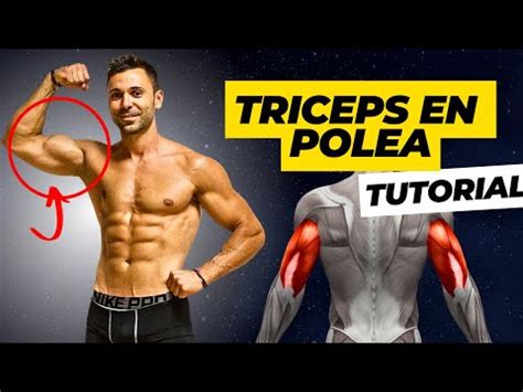 Fortalece Tu Cuerpo Y Mente Con Ejercicio Triceps Polea