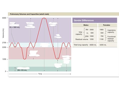 Spirogram Quiz