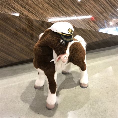 Splunk Hq Tech Startup In San Francisco