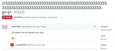 Best Github Issue Ever