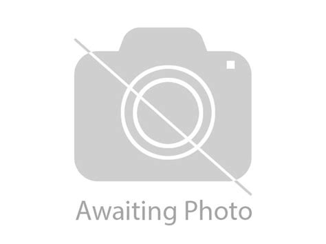 Waffle Is A Bitch And A Cockapoo In Cambridgeshire On Freeads