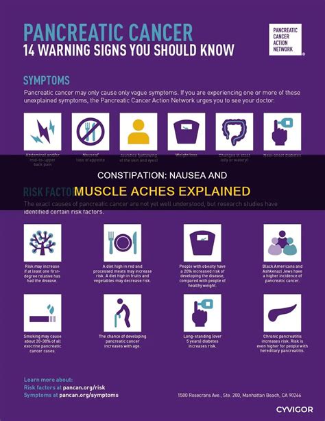 Constipation Nausea And Muscle Aches Explained Cyvigor