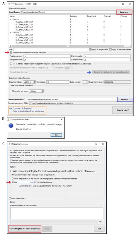 Live Imaging Of Primary Cerebral Cortex Cells Using A 2d Culture System