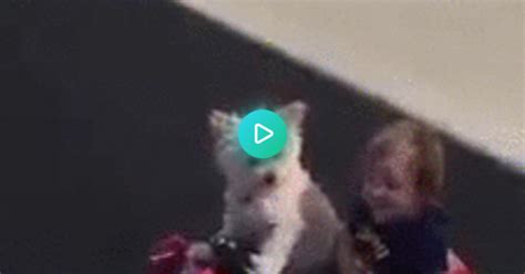 Driver On Imgur Driver On Imgur