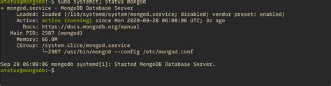 how to install mongodb community edition on ubuntu 20 04 atetux