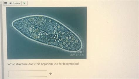 solved what structure does this organism use for locomotion