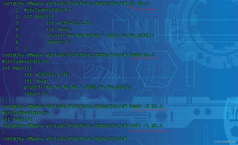 2 linux文件目录相关命令 b 或 escape 显示脱离字符。 b 或 ignore backups 忽略备份文件和目 csdn博客