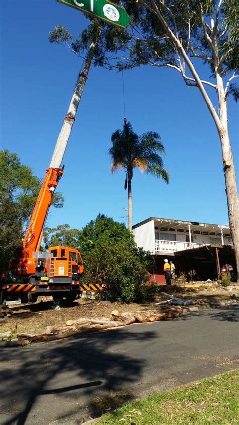 Home Alextreeserviceaus Weebly Com