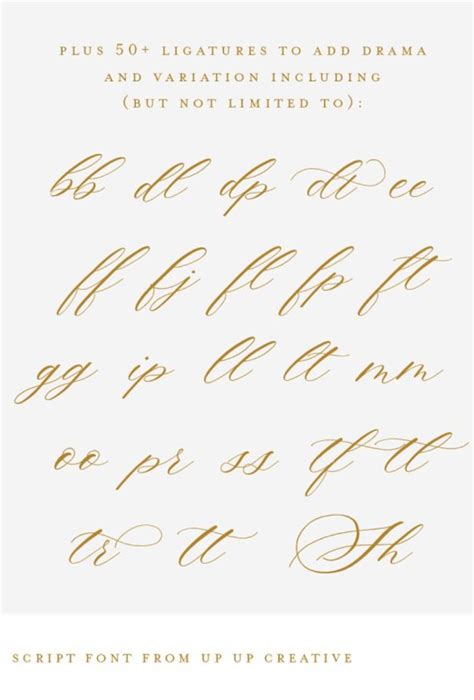 Slight A Calligraphy Script Font Artofit