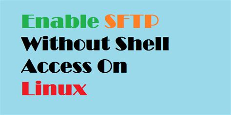 How To Use The Virtual Network Editor In Vmware Workstation By