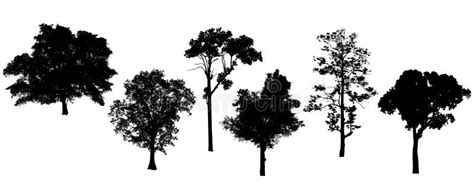 Collection Of Trees Silhouettes Isolate On White Background Clipping Path For Your Design Stock