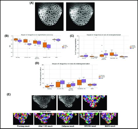 a effect of blurring on an image b comparing segmentation