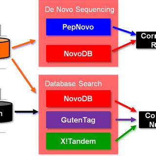 Overview Of The Evaluation Strategy Download Scientific Diagram