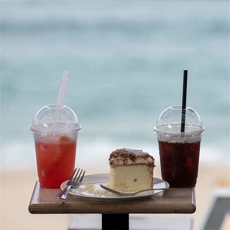 강릉 해안선열차 안목해변 동해 묵호 버스당일여행 티몬