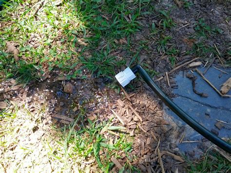 Delete The Nuts DIY Check Valve