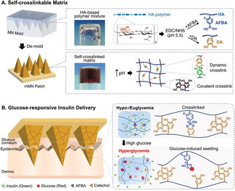 Mmn Fabrication And Its Glucose‐responsive Insulin Delivery A