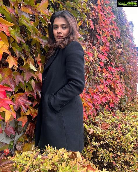 Hebah Patel Instagram Sex Education Inspo 😻 Gethu Cinema