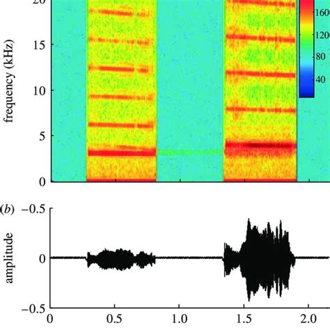 a spectrogram and b waveform of the midfrequency sonar ping
