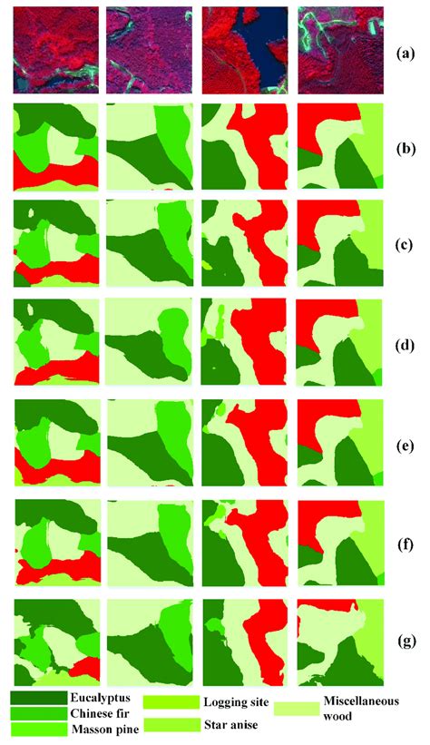The Detailed Classification Results Of The Gaofeng Forest Farm Test