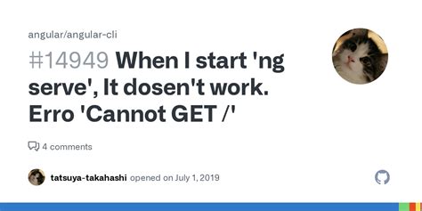 When I Start Ng Serve It Dosen T Work Erro Cannot GET Issue Angular Angular