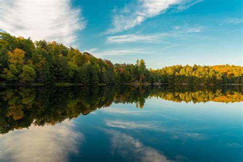 Went On My First Hike In Gatineau Park This Past Weekend Looks Like I