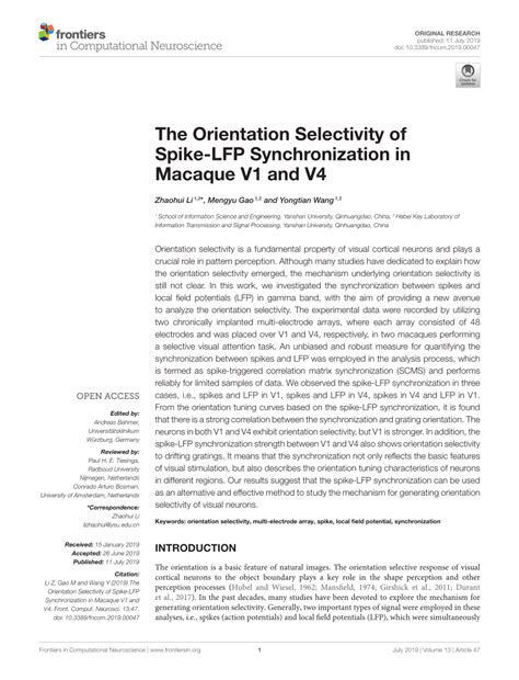 Pdf The Orientation Selectivity Of Spike Lfp Synchronization In Macaque V1 And V4