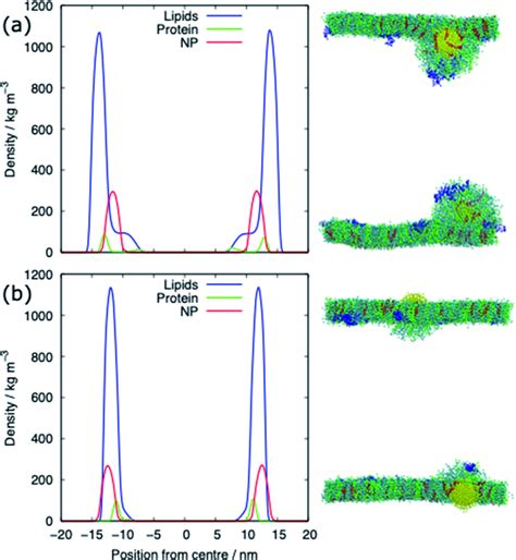 Density Profiles And Representative Snapshots Of The Download