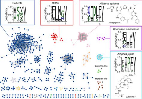 sequence similarity network of stand alone precursor peptides using an