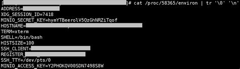 found minio secret key in environ file · issue 9011 · minio minio · github
