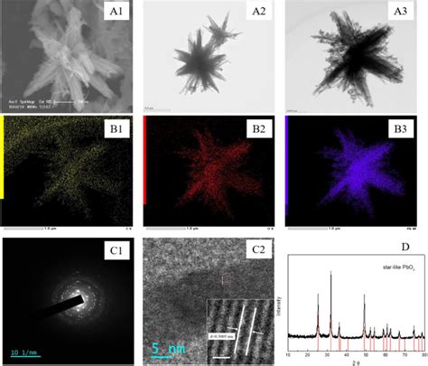 A Sem Images A1 Tem Images A2 A3 B The Corresponding Mapping Download Scientific