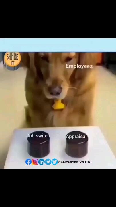 Abhishek Sah Posted On Linkedin