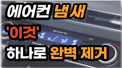 10년을 타면서 몰랐던 자동차 에어컨 냄새 제거 잡는 방법 예방법 최신 차량 건조 기능 설정 방법 외제차 실내 냄새 원인