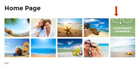 Columns Rows Pagination And Load More Essential Grid WordPress Gallery Plugin