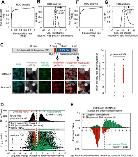 Figures And Data In Live Cell Mapping Of Organelle Associated Rnas Via Proximity Biotinylation