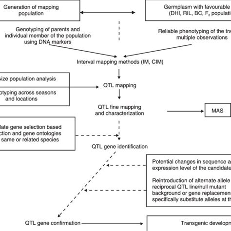 Genomic Approaches For Qtl Mapping And Cloning Download Scientific